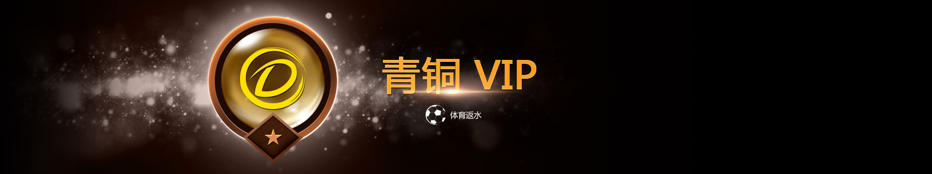 VIP Bronze | Entry Page